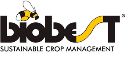 Quiénes Somos - Brometan